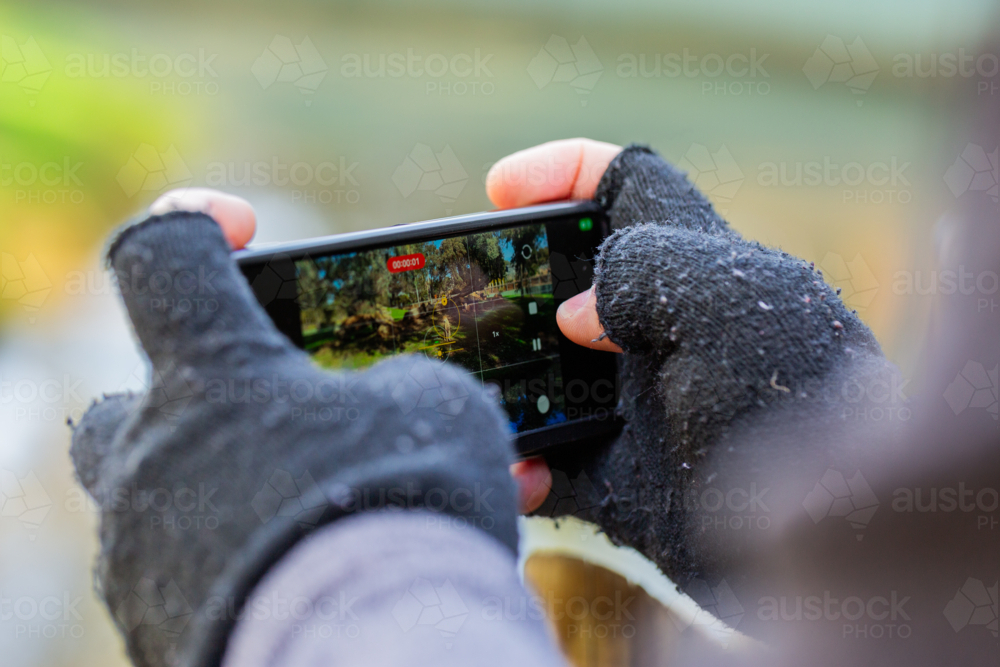 Image of Person taking a photo of zoo animal with phone camera ...