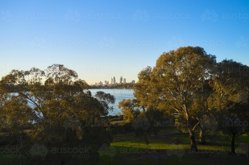 Image of Perth Skyline View Between Trees at Lake Monger - Austockphoto