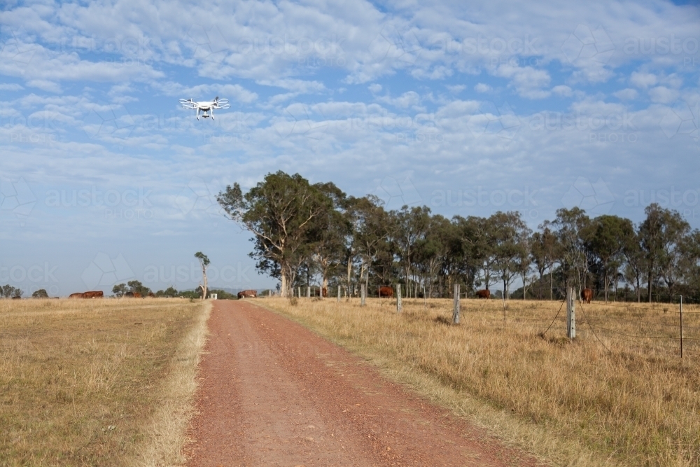 Image of Phantom drone flying above gravel driveway on rural property ...