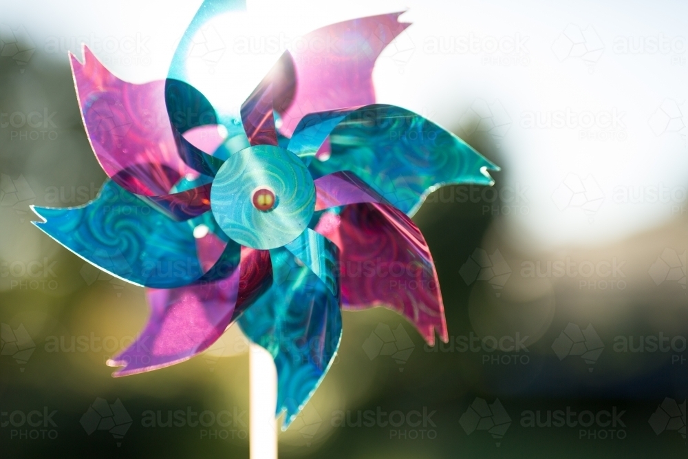 Image of Pink and blue pinwheel with sunlight - Austockphoto