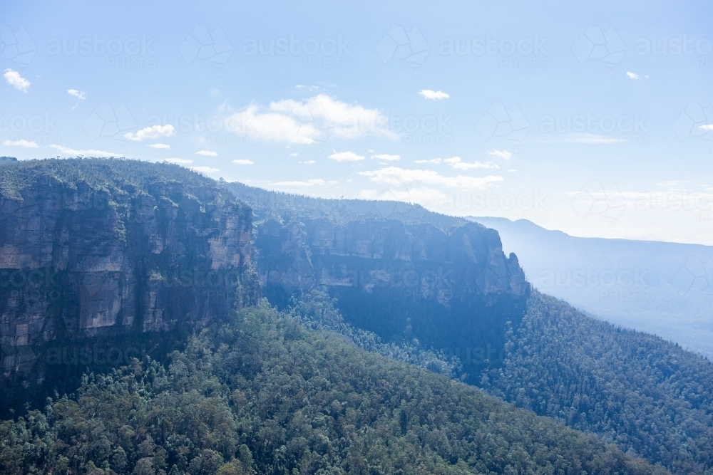 Image of Plant growth and bare rock on cliff face in Blue Mountains ...