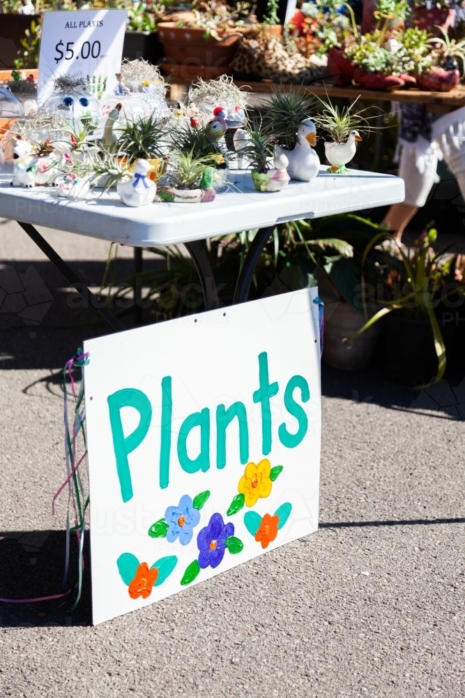 Image of Plants for sale at market stall at spring fete - Austockphoto