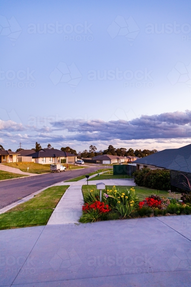Image of Plants in garden beside driveway and town street at dusk ...