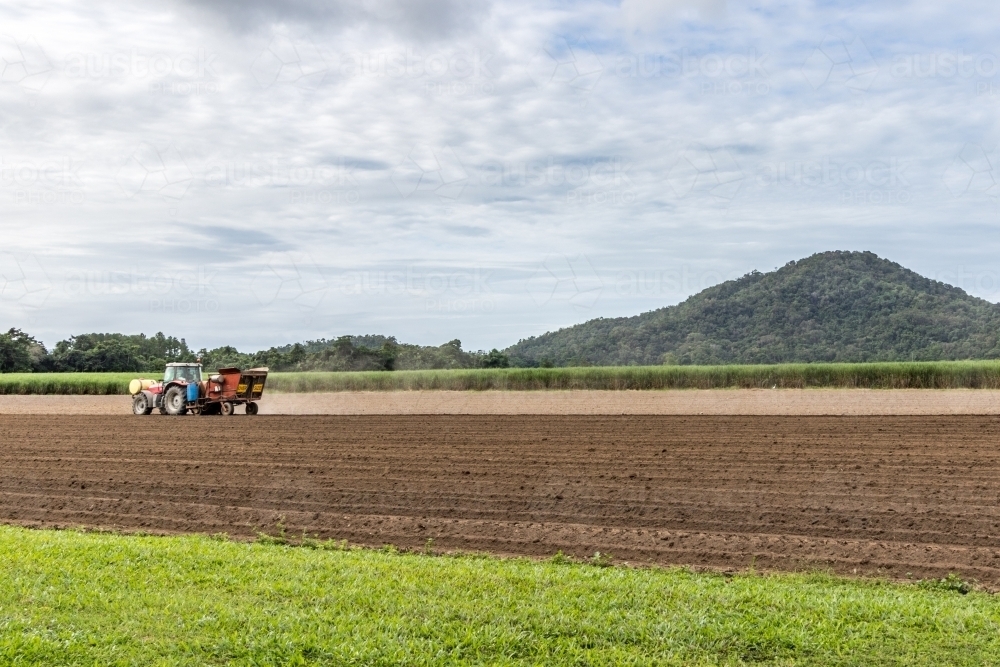 Image of Ploughed cane fields and tractor - Austockphoto