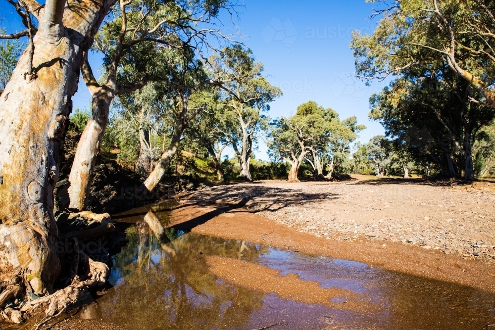 Image of pools of water in tree lined creek bed - Austockphoto