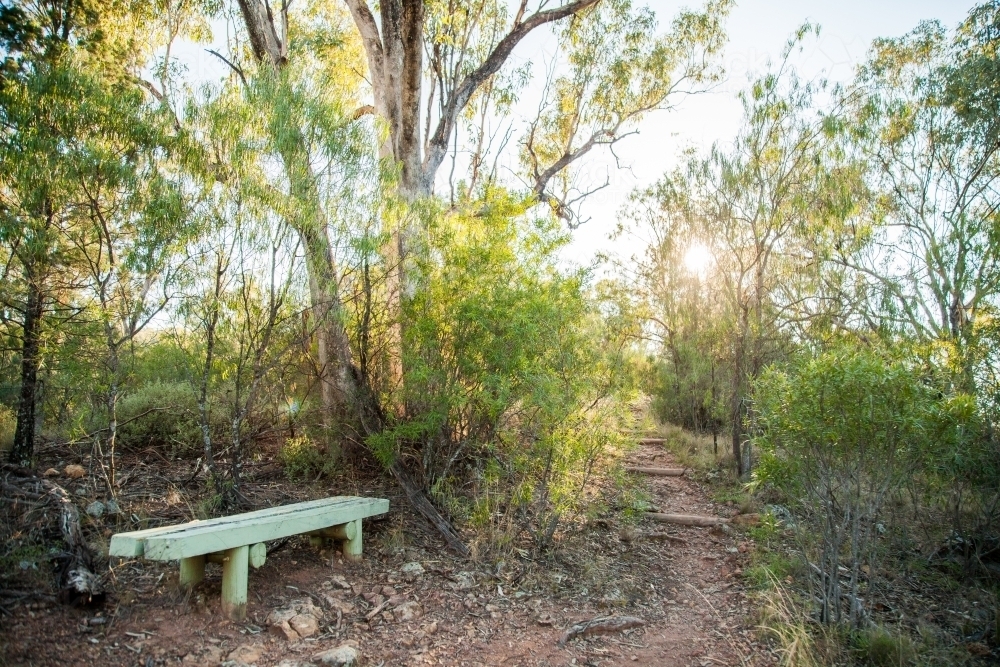 Image of Porcupine Lookout bush walking track and bench seat - Austockphoto