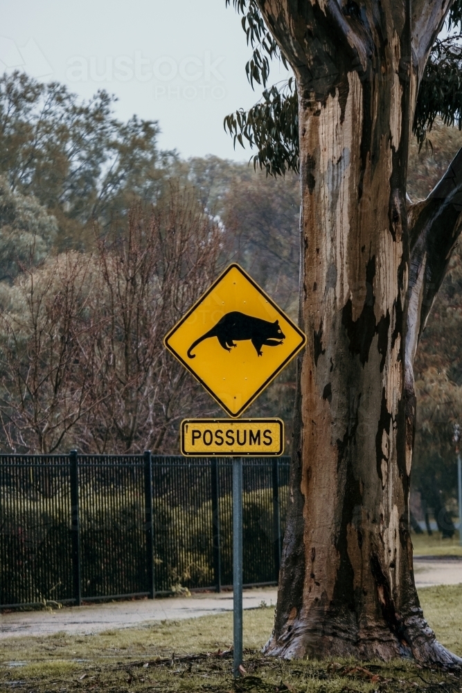 Image of Possum crossing sign - Austockphoto
