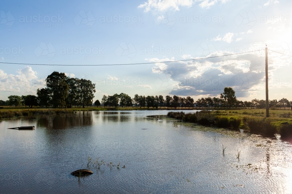 Image of Power line over farm dam with rippling water - Austockphoto