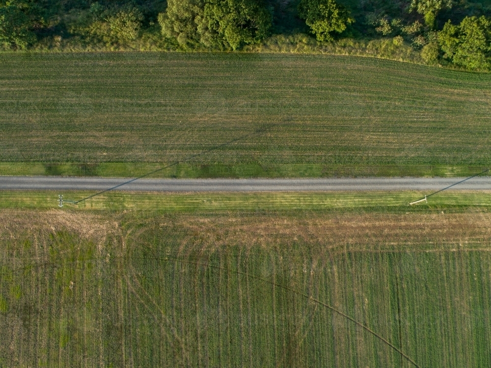 Image of Power poles casting long shadows beside narrow road and farm ...