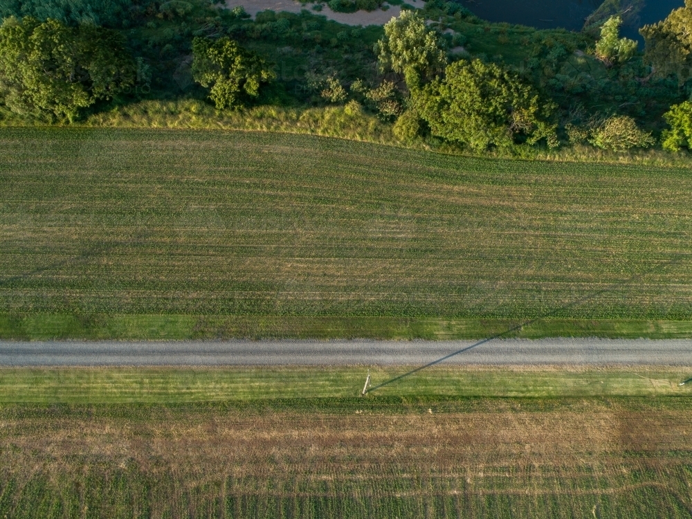 Image of Power poles casting long shadows beside narrow road and farm ...