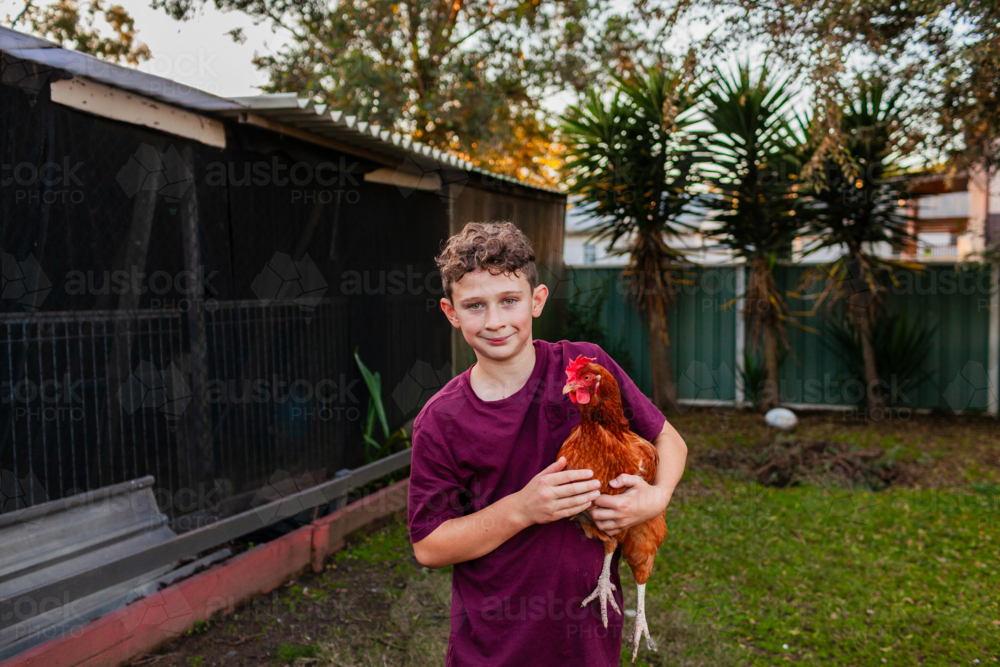 Image of preteen boy holding brown backyard hen in yard at home ...