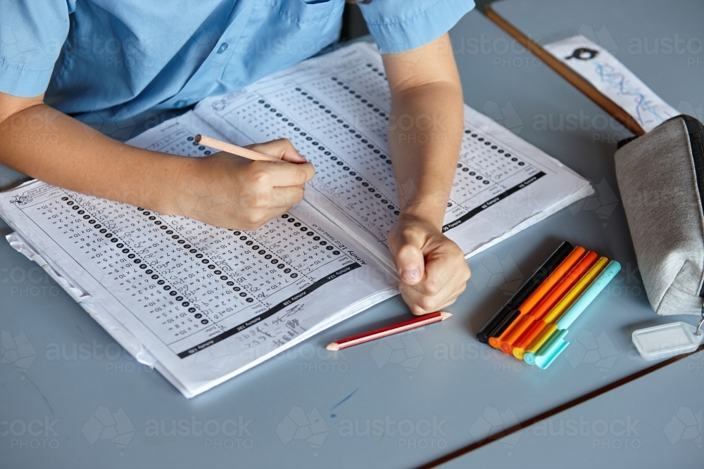 Image of Primary school student in classroom working on homework ...
