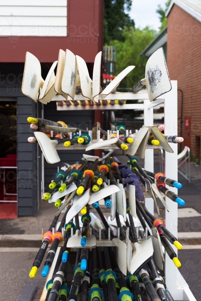 Image of Rack of oars at a boat house - Austockphoto