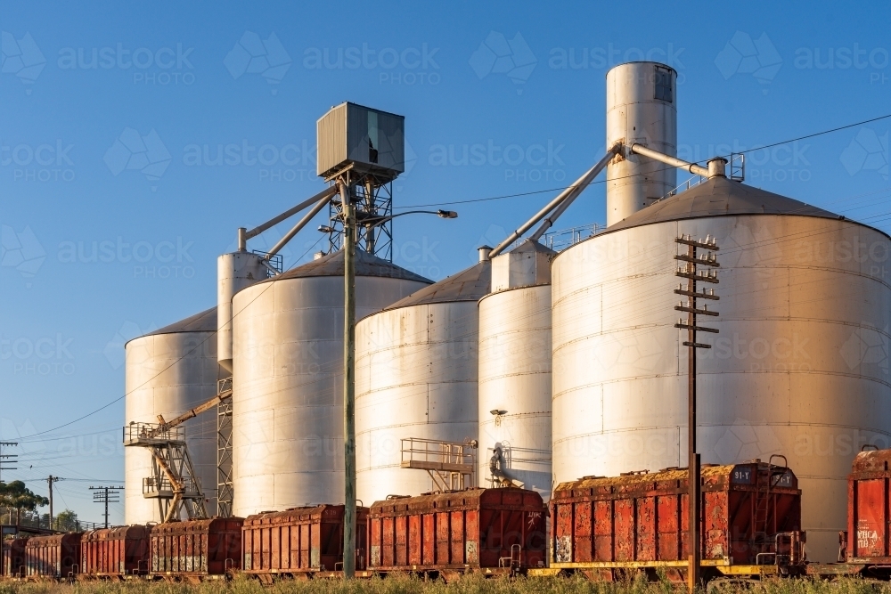 Image of Railway carriages lined up alongside tall grain silos in a ...
