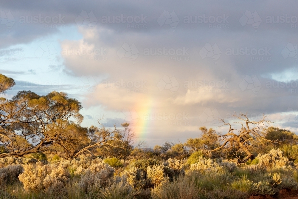 Image of rainbow over outback landscape - Austockphoto