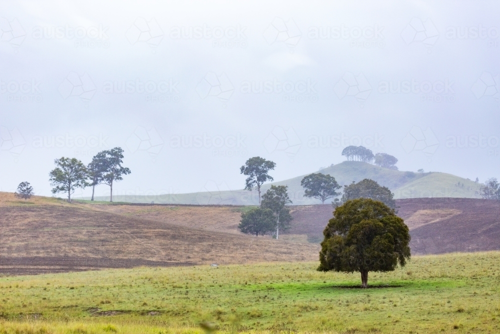 Image of Rainy day with rain falling on newly ploughed paddock ...