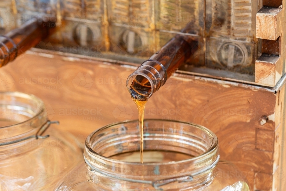 Image of Raw honey flowing into jars from hive - Austockphoto