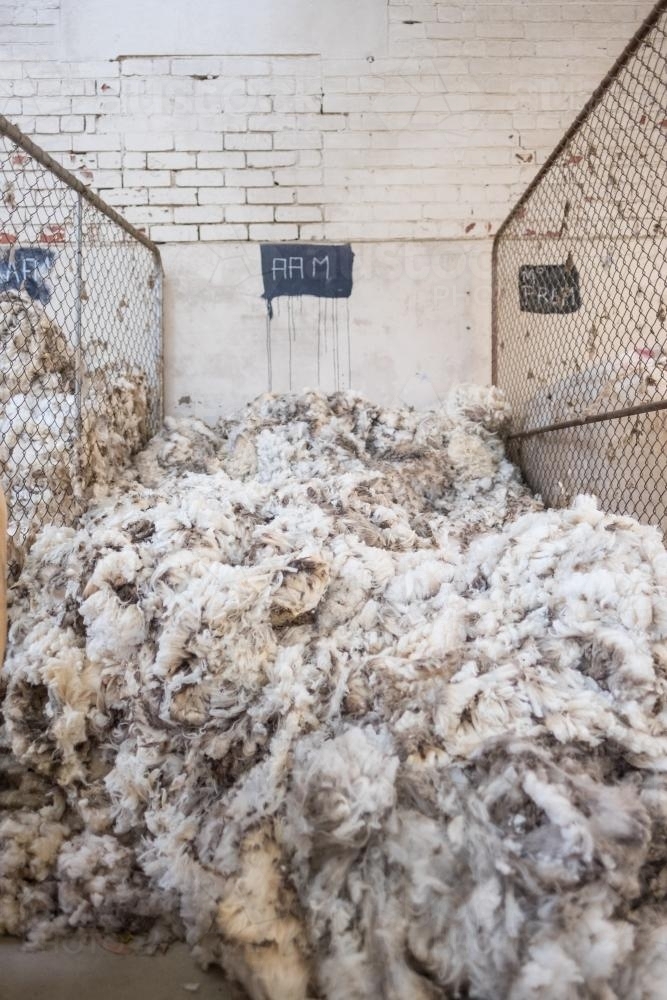 Image of Raw wool in wool sorting warehouse - Austockphoto