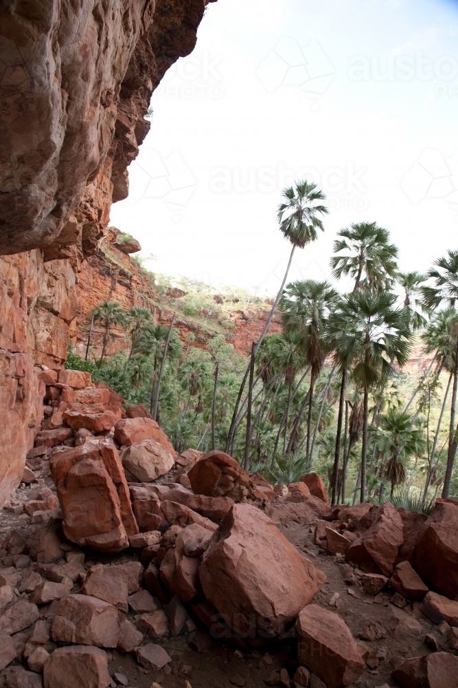 Image of Red cliff face with green trees - Austockphoto