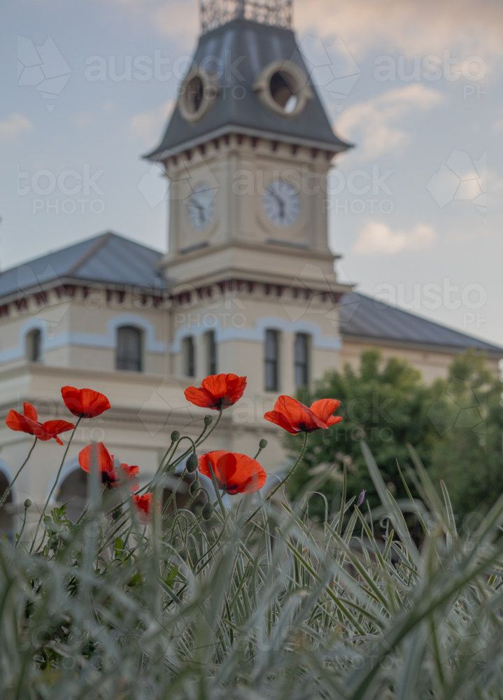 Image of Red poppies in front of an old post office building with a ...