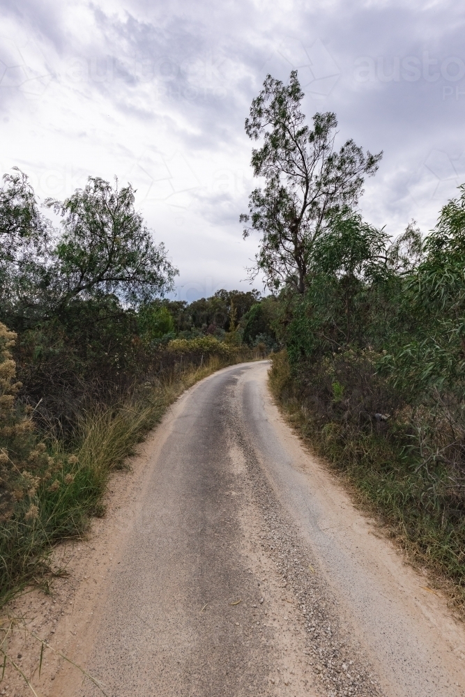 Image of Remote gravel road leading through the bush - Austockphoto