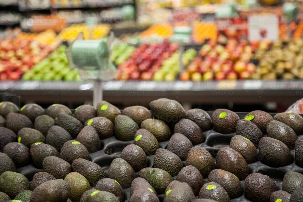 Image of Ripe black avocados for sale in the grocery store - Austockphoto