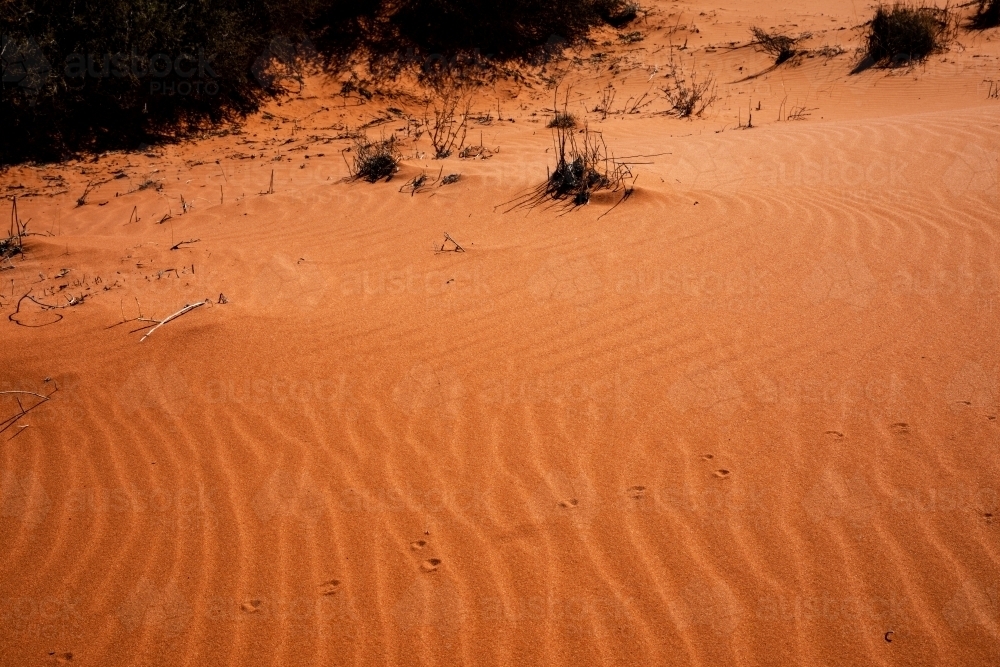 Image of ripples in red desert sand - Austockphoto