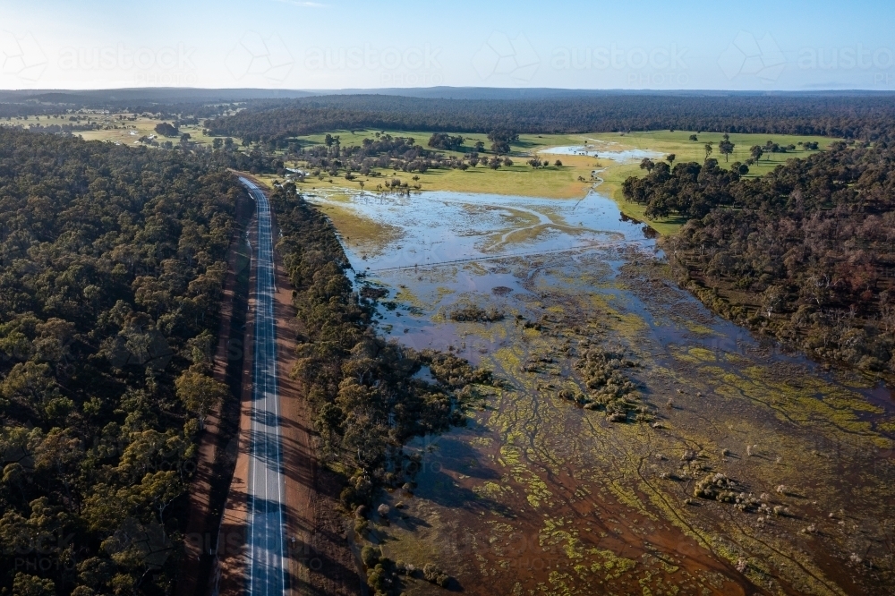 Image of road between forest and wetland leading into the distance ...