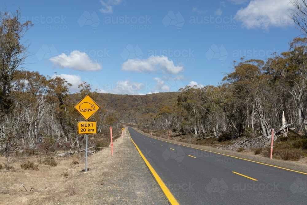 Image of Road safety sign showing a wombat and Next 20km and a road in ...
