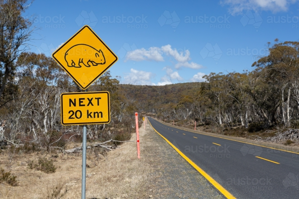 Image of Road safety sign showing a wombat and Next 20km and a road in ...