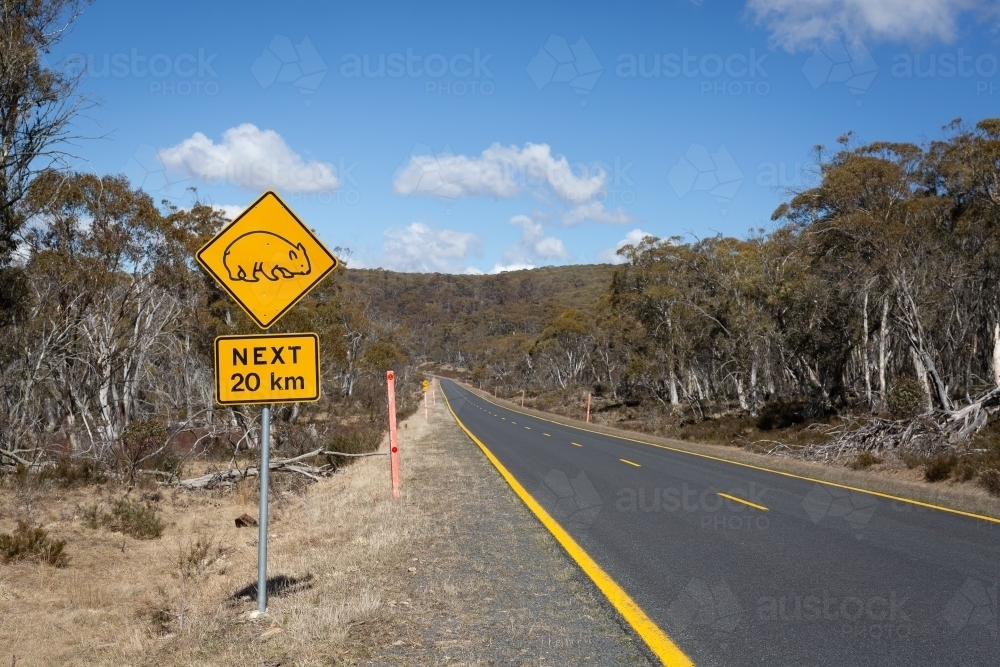 Image of Road safety sign showing a wombat and Next 20km and a road in ...