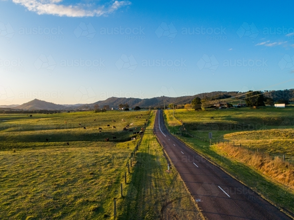 Image of Road through scenic country landscape with cattle grazing at ...