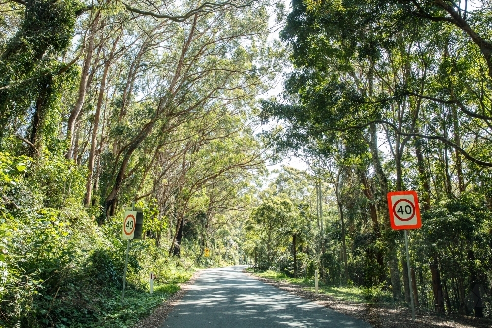 Image of road through the rainforest in a 40 zone - Austockphoto