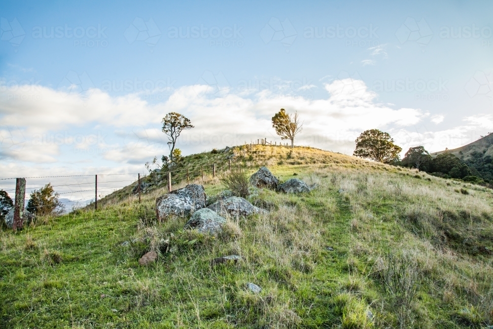 Image of Rocks and trees on a grassy hill at sunrise - Austockphoto
