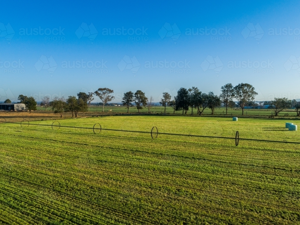 Image of Rolling irrigation sprinkler in green farm paddock - Austockphoto