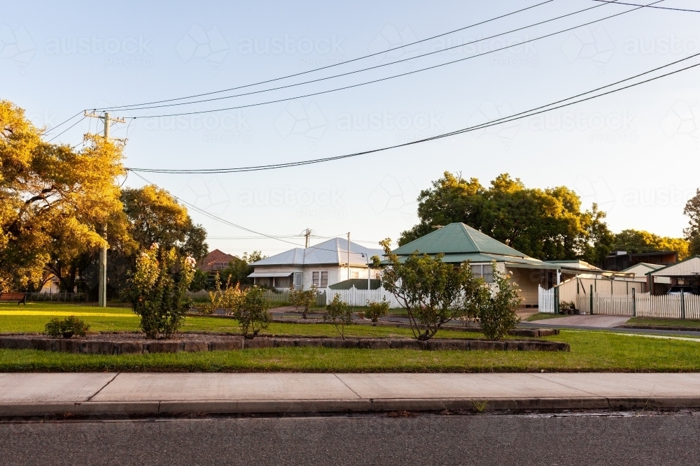 Image of Rose garden in park in town with houses along street ...