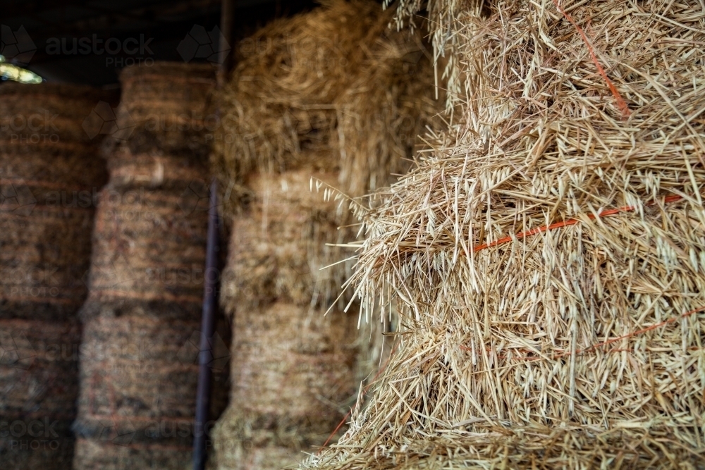 Image of Round hay bales stacked in a hay shed on a farm - Austockphoto