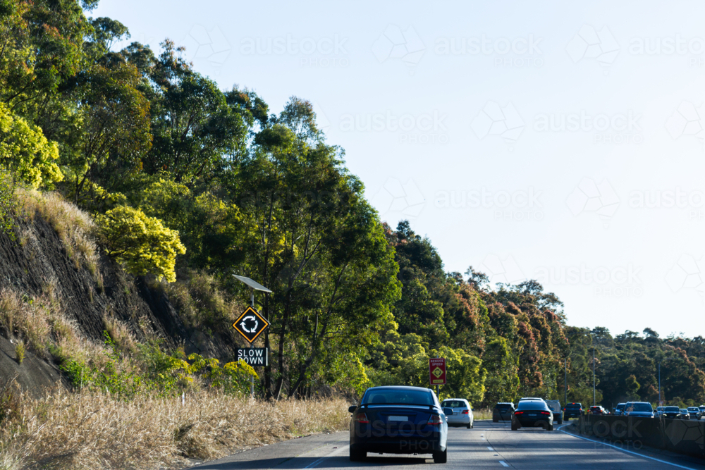 Image of Roundabout ahead sign besides cars on highway with wattle ...