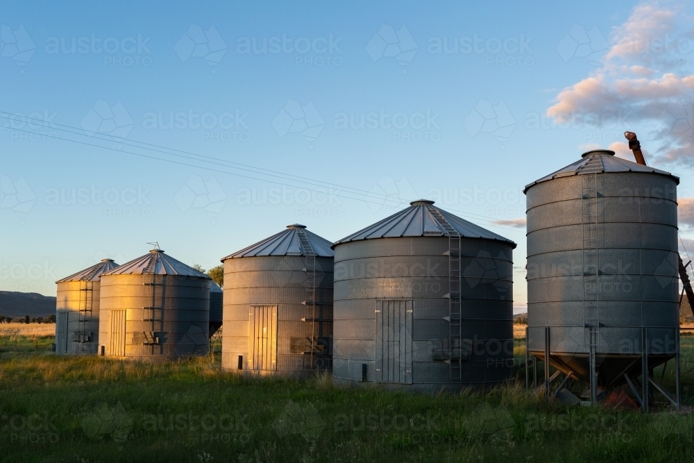 Image of Row of silos on farm at sunset - Austockphoto