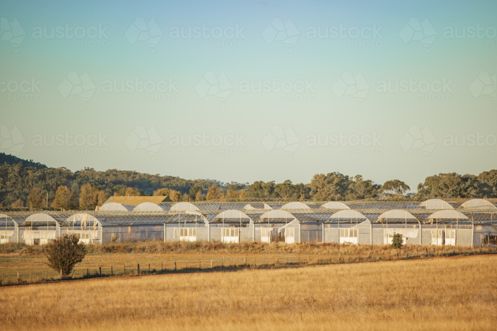 Image of Rows of damaged hot houses on rural Australian farm - Austockphoto