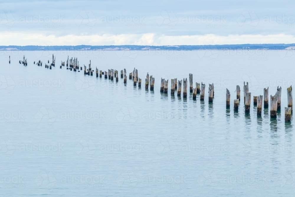 Image of Rows of old jetty pylons in calm water disappearing towards ...