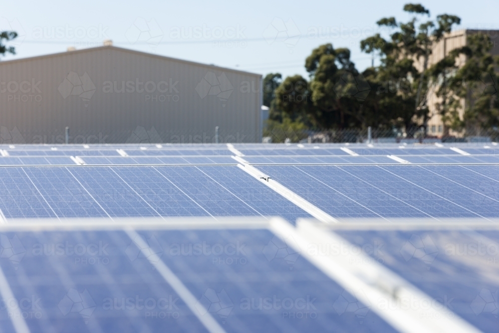 Image of Rows of solar panels at a solar panel plant - Austockphoto