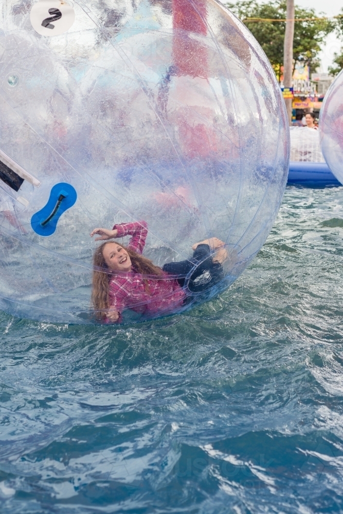 Image of royal show, large hamster water walking ball - Austockphoto