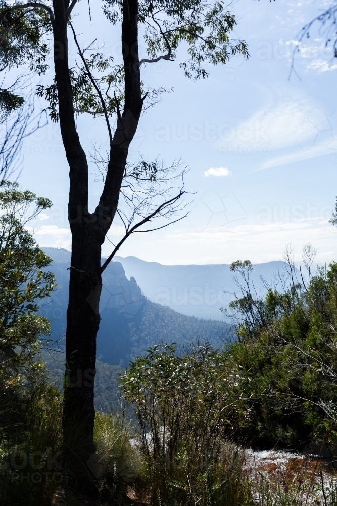 Image of Rugged mountain ranges with foreground of plants and waterfall ...
