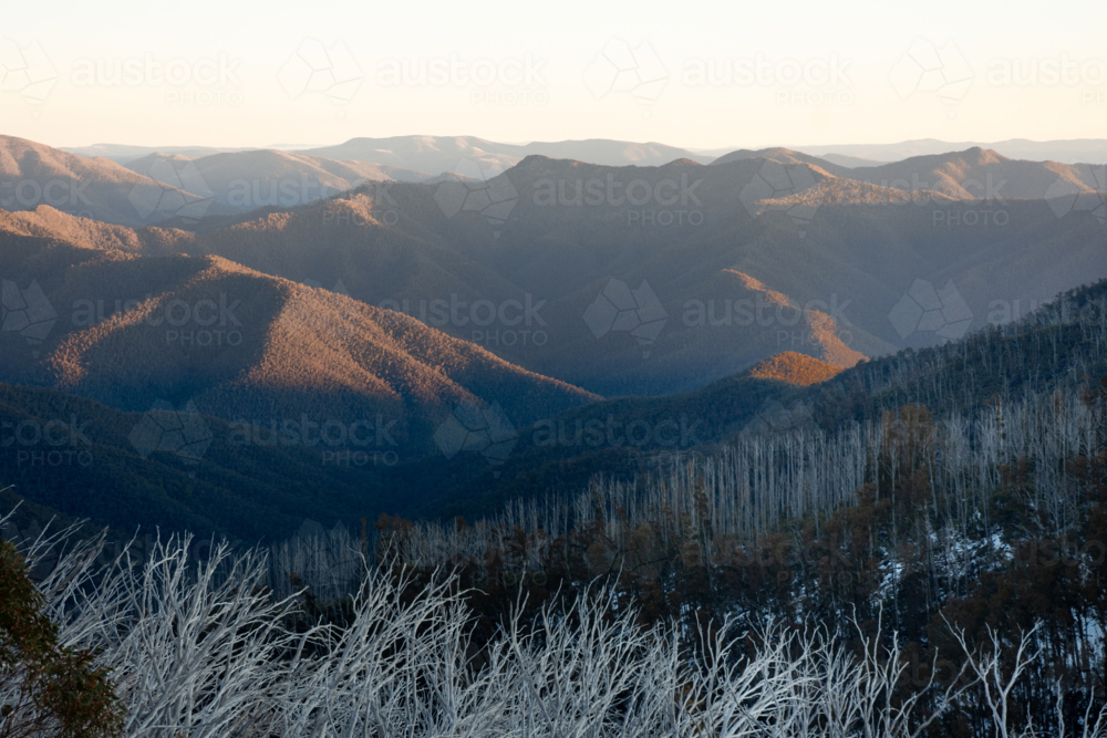 Image of Rugged mountain view from Mt Buller at sunset - Austockphoto