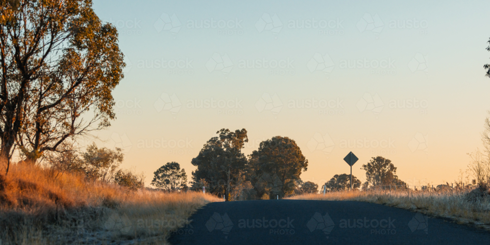 Image of Rural Australian back road at sunrise - Austockphoto