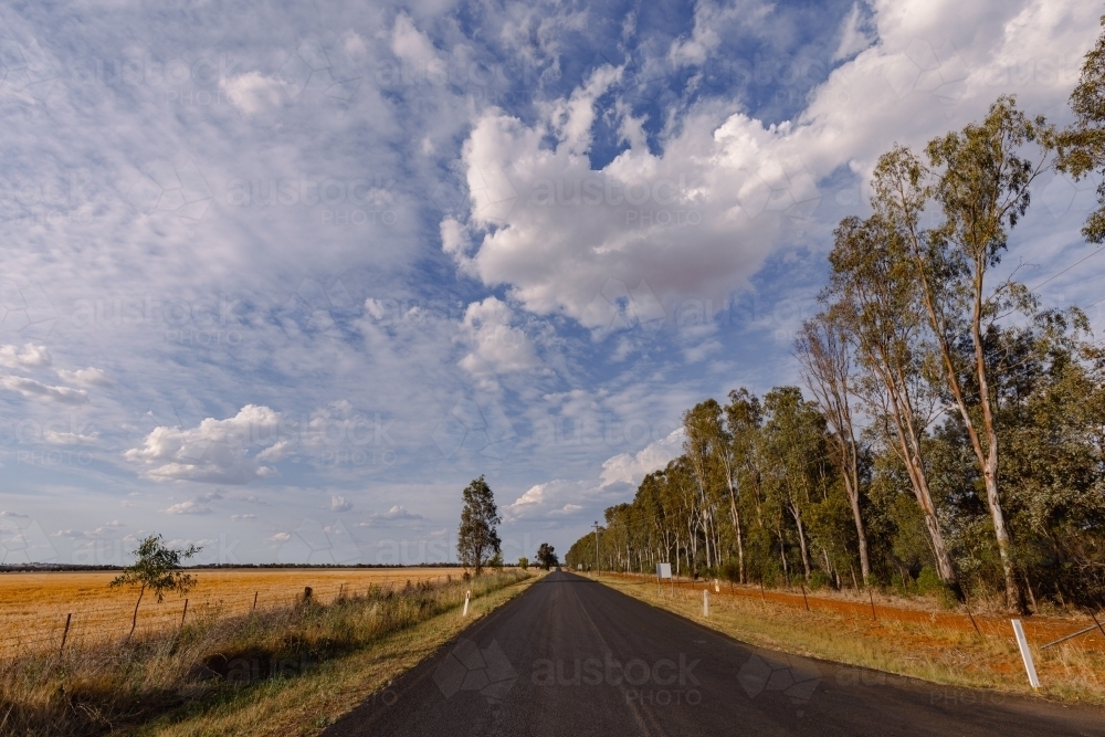Image of Rural country road on the outskirts of Parkes NSW - Austockphoto