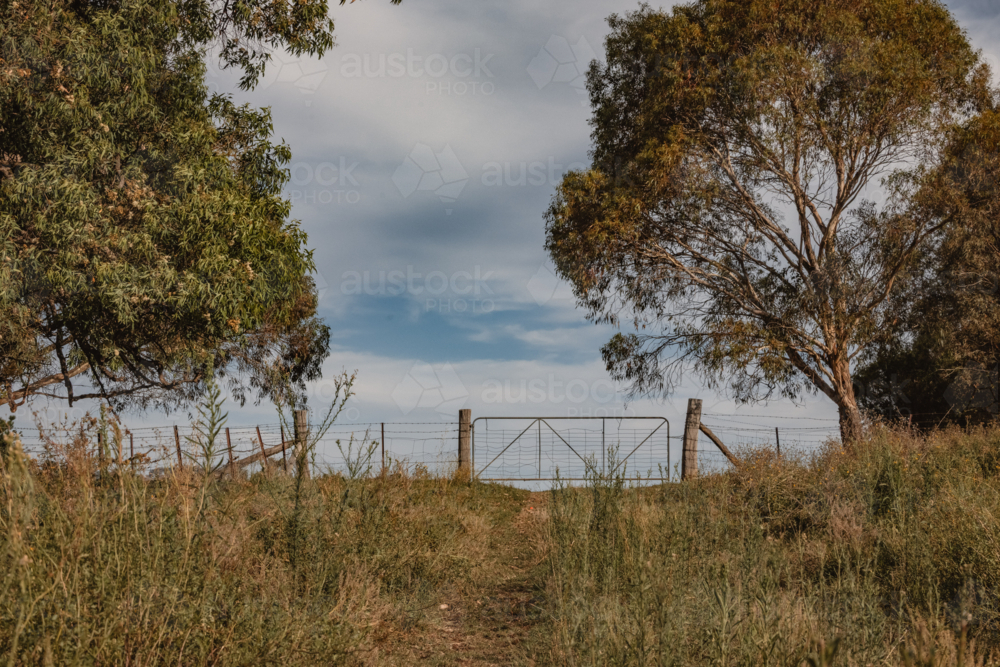 Image of Rural farm gate on hill top with blue sky background ...