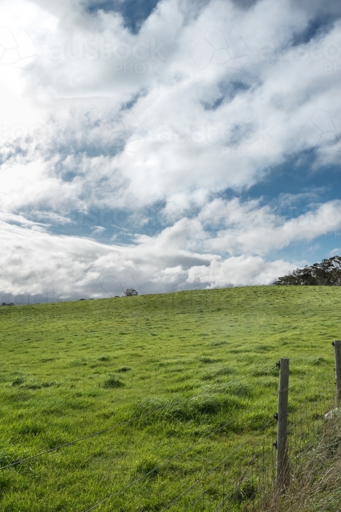 Image of rural green paddock - Austockphoto