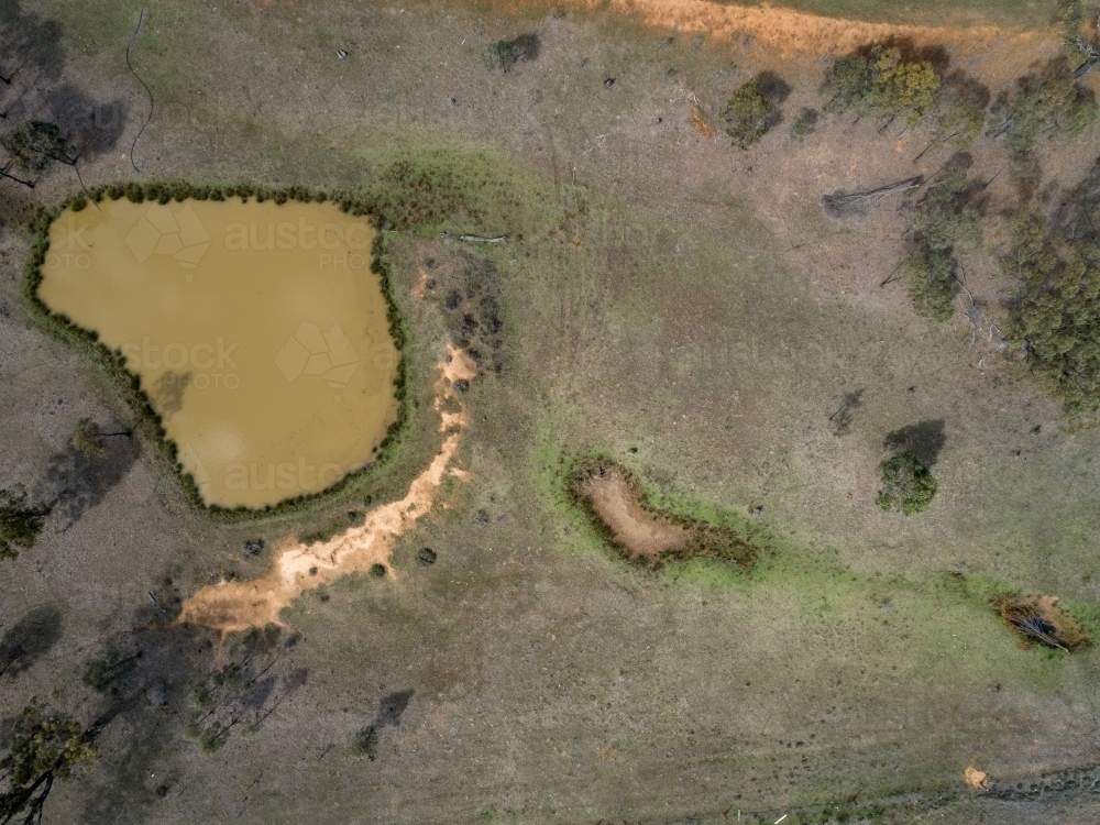 Image of Rural paddock with large dam full of muddy water and small dry ...